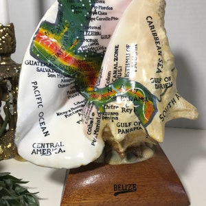 Vintage Large Tourist Conch Shell Statue, Vintage Belize Retro 70s ...