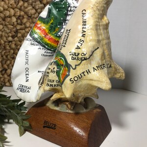 Vintage Large Tourist Conch Shell Statue, Vintage Belize Retro 70s ...