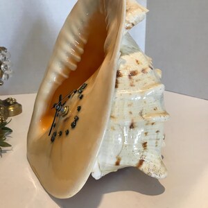 Vintage Conch Shell Clock, Vintage Cassis Cornuta Large Clock, Beach Cottage Decor Conch Shell ...