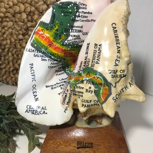 Vintage Large Tourist Conch Shell Statue, Vintage Belize Retro 70s ...
