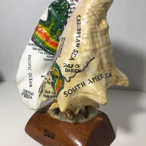 Vintage Large Tourist Conch Shell Statue, Vintage Belize Retro 70s ...