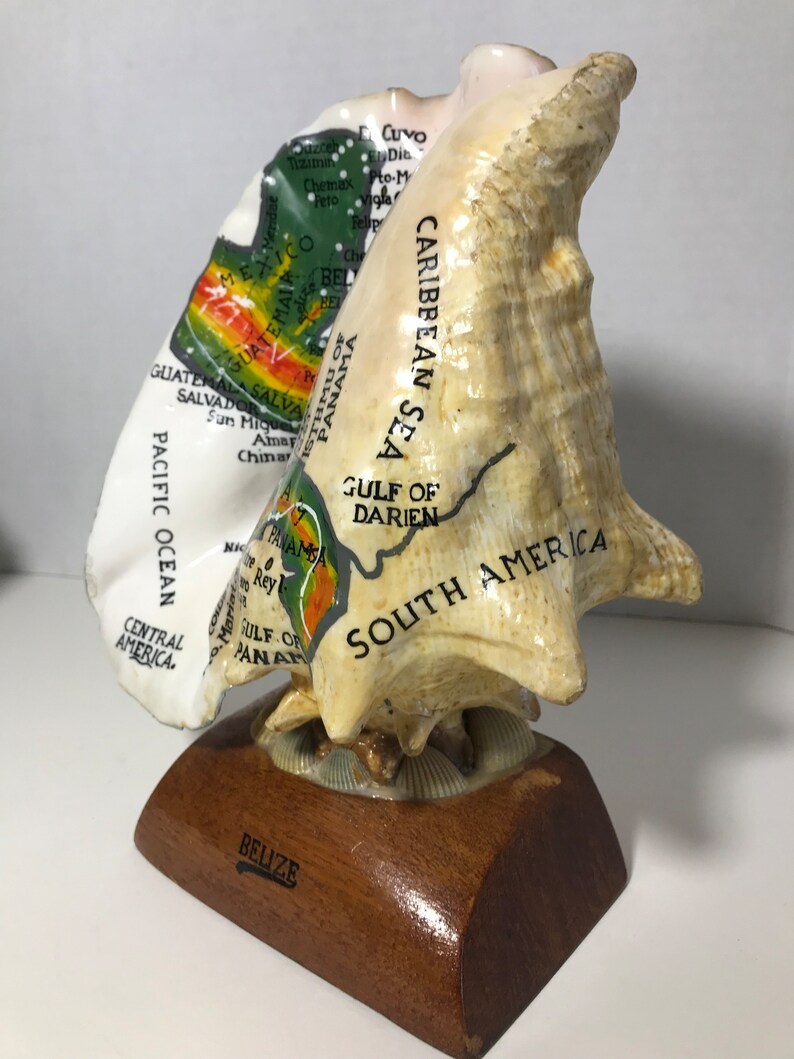 Vintage Large Tourist Conch Shell Statue, Vintage Belize Retro 70s ...