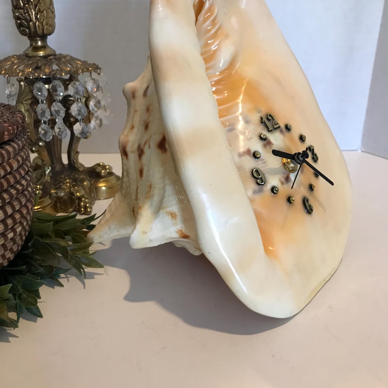 Seashell Clock - Etsy