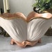 Vintage Art Deco Designed Large White Shell Shaped Bowl With Pink ...