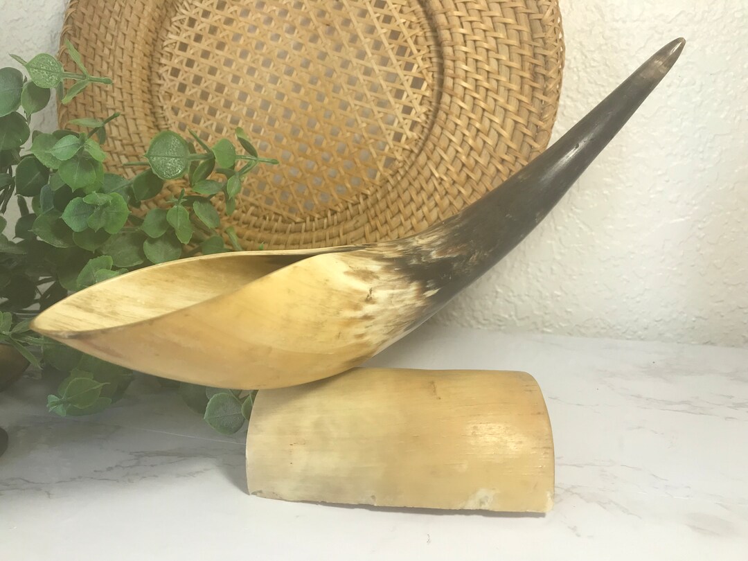 Vintage Antique Carved Authentic Horn Presented on Carved Bone Display ...