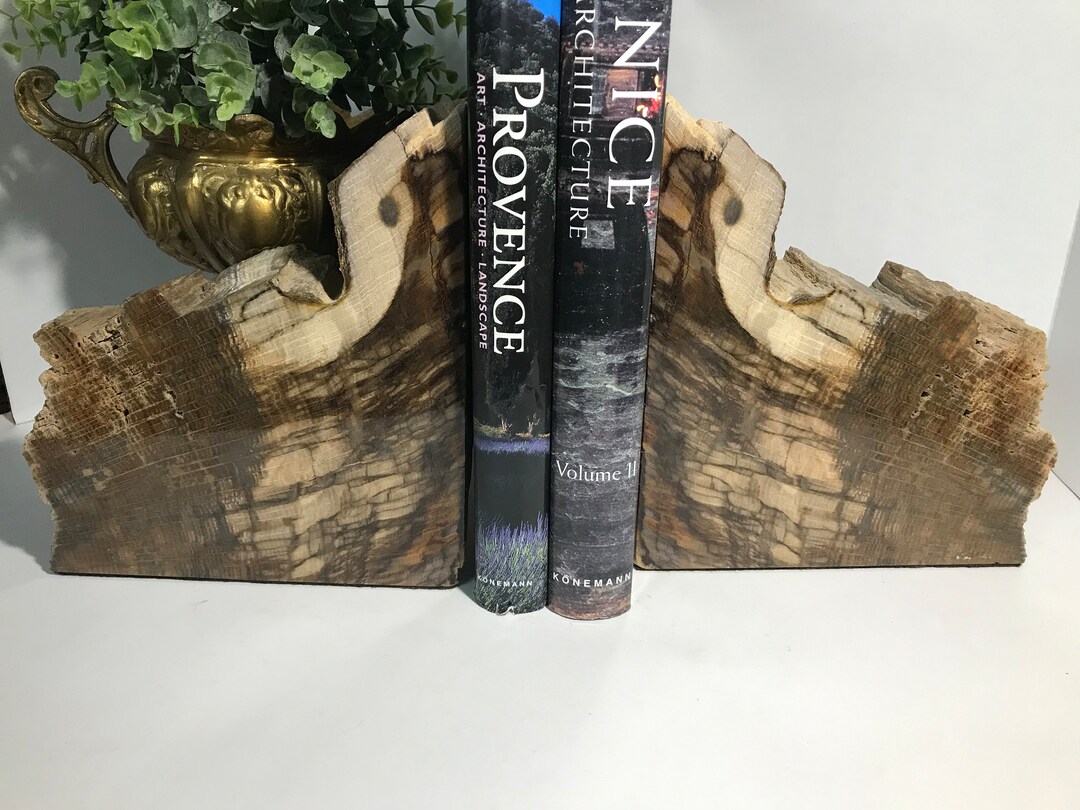 Vintage Sculptural Bookends, Vtg Slab Petrified Wood Bookends, Hand ...