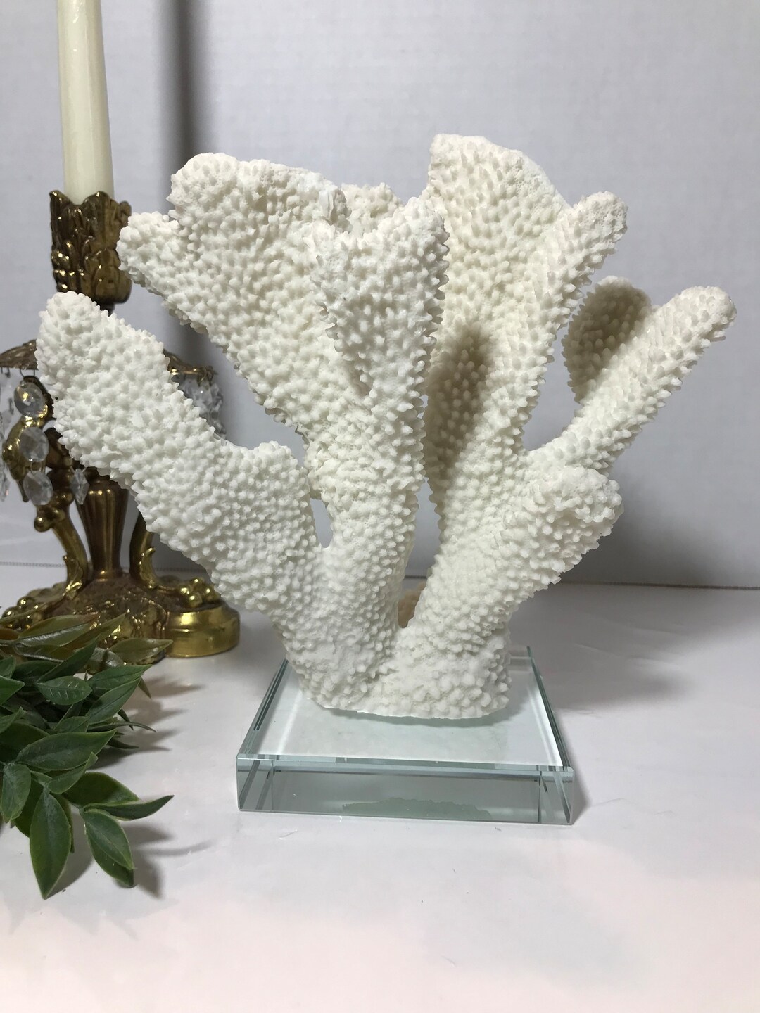 Coral Statue on Glass Base, Coral Sculpture on Museum Style Display ...