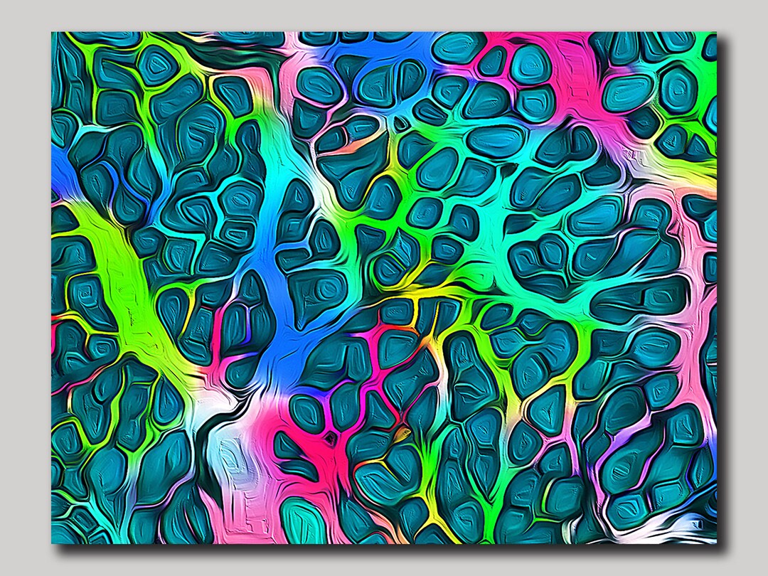 Skeletal Muscle X-section Unframed - Etsy