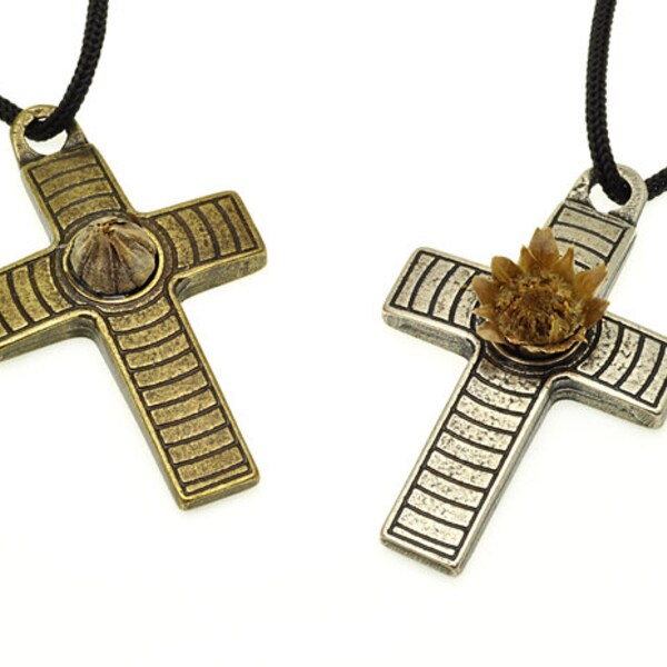 Rose of Jericho - Etsy