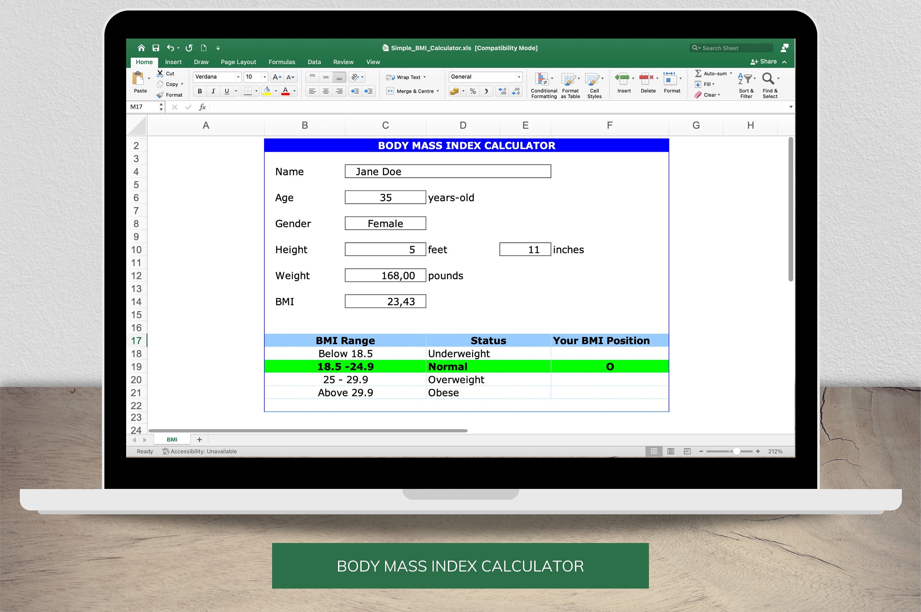 BMI Body Mass Index Calculator Chart Spread Sheet Men Women General - Etsy