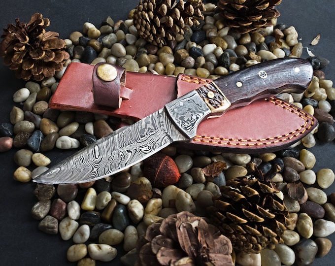 DAMASCUS KNIFE/ Titan/ Stag & Walnut Scales TD-159 - Etsy
