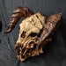 Deathclaw Skull Helmet Resin Kit - Etsy