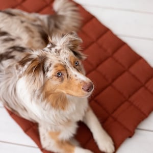 Portable Linen Pet Mat, Dog Roll-up Travel Mat, Two-sided Linen Pet Bed ...