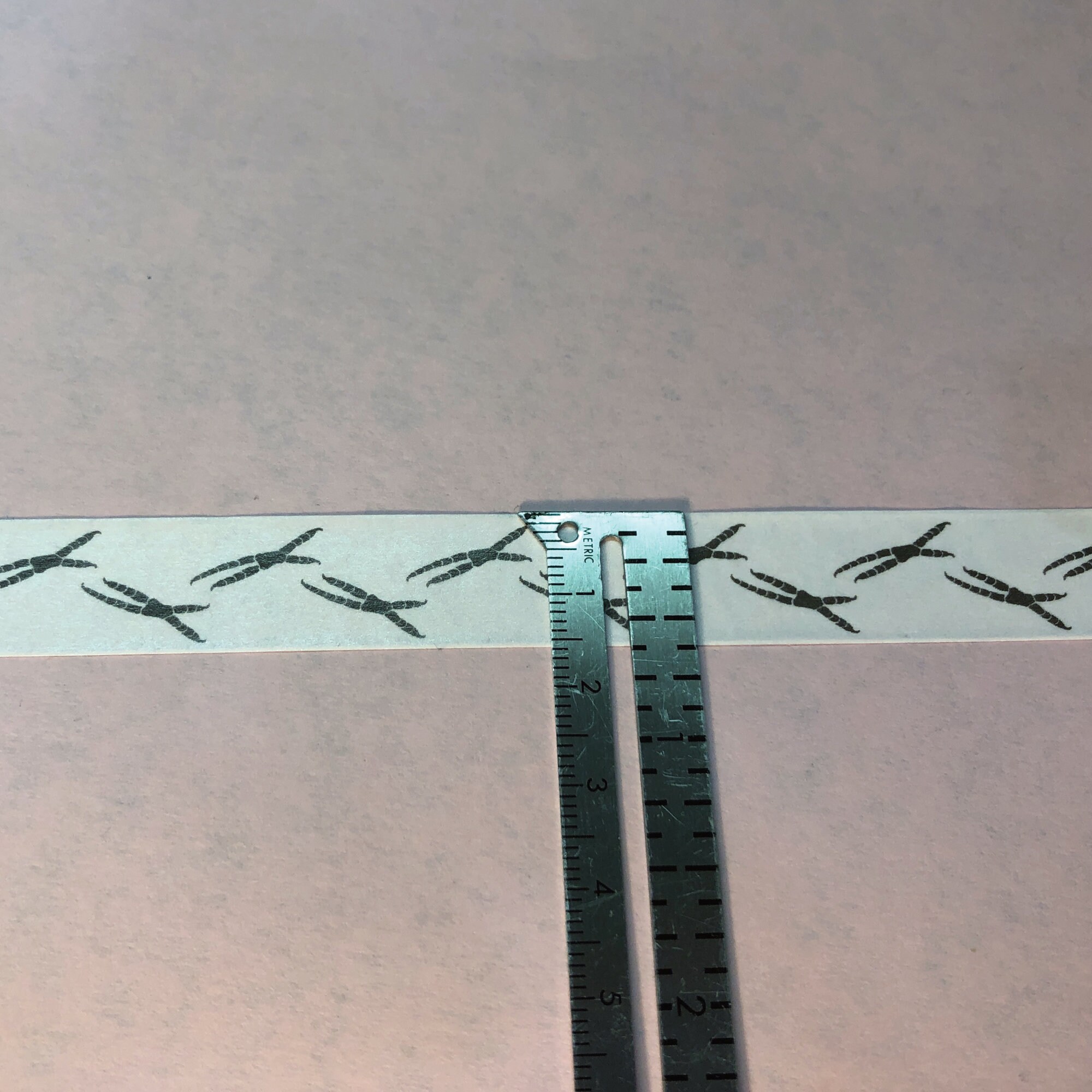 Washi Tape | Parrot Footprint Tracks | 1.5cm X 10m Roll | Scrapbooking ...