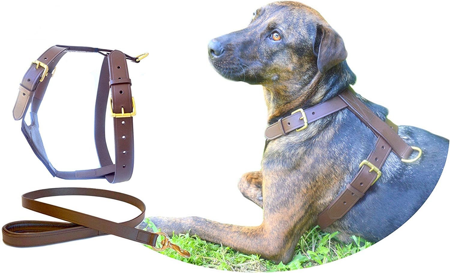 Classic Small Medium Large XL Dog Genuine Leather Dog Harness - Etsy