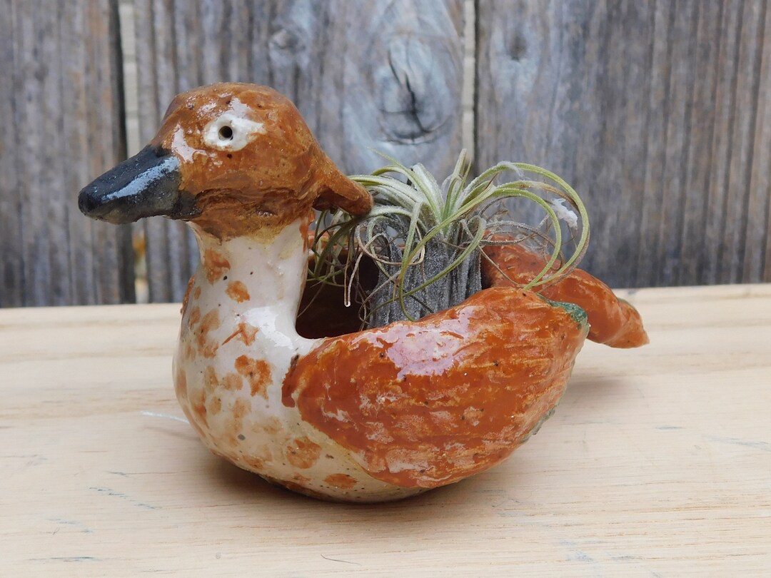 Duck Pot: Ceramic Air Plant Holder - Etsy