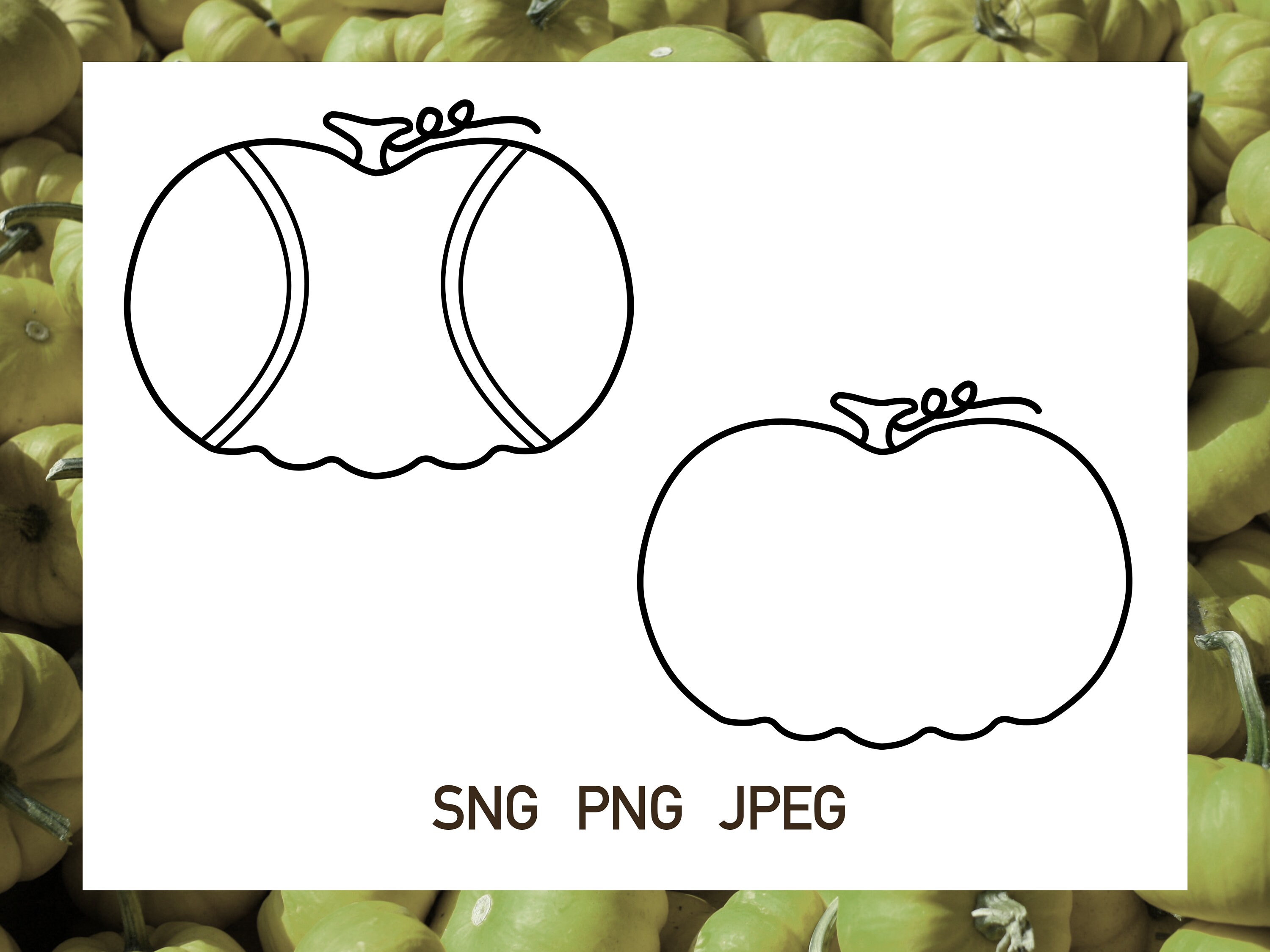 Tennis Ball Pumpkin Outline SVG Fall Svg, Png, Jpeg Team Shirt ...