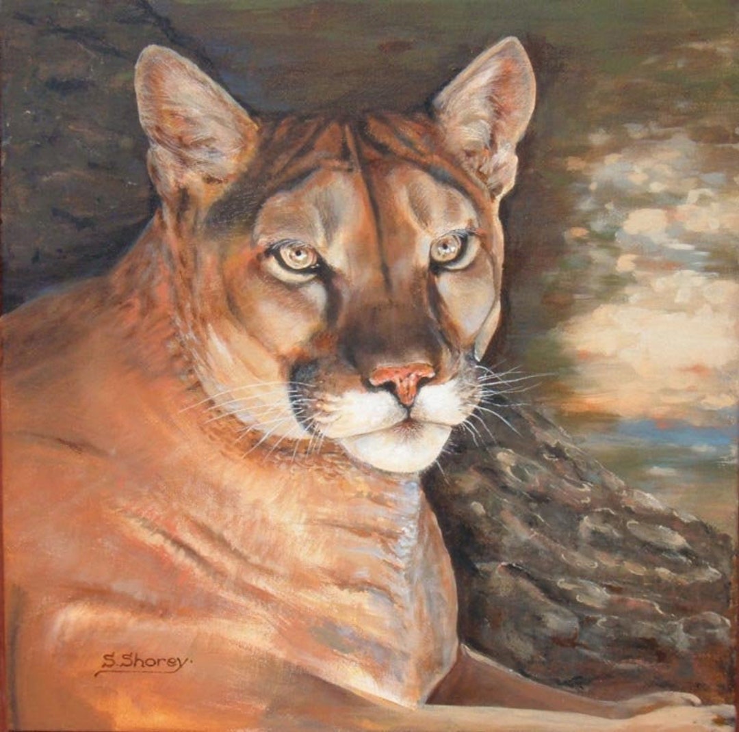 Mountain Lion, Puma, Hand Painted Acrylic Pet Portrait, Realistic Brush ...