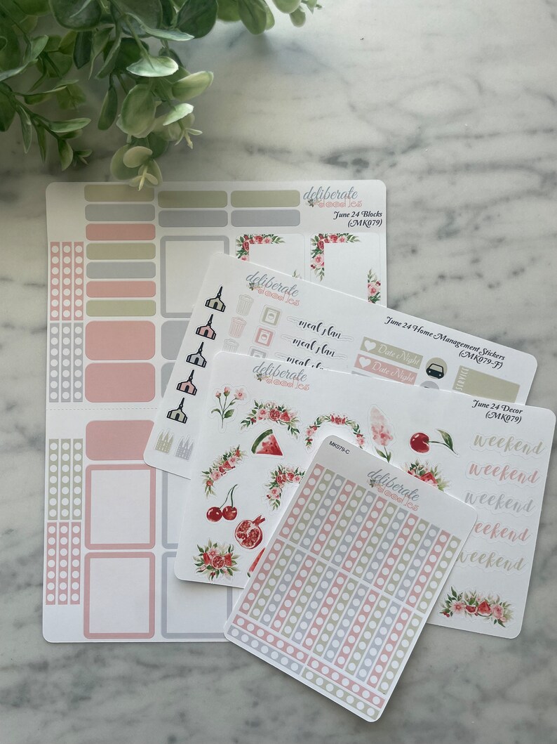 June 24 Monthly Planner Sticker Kit (MK079) - Etsy