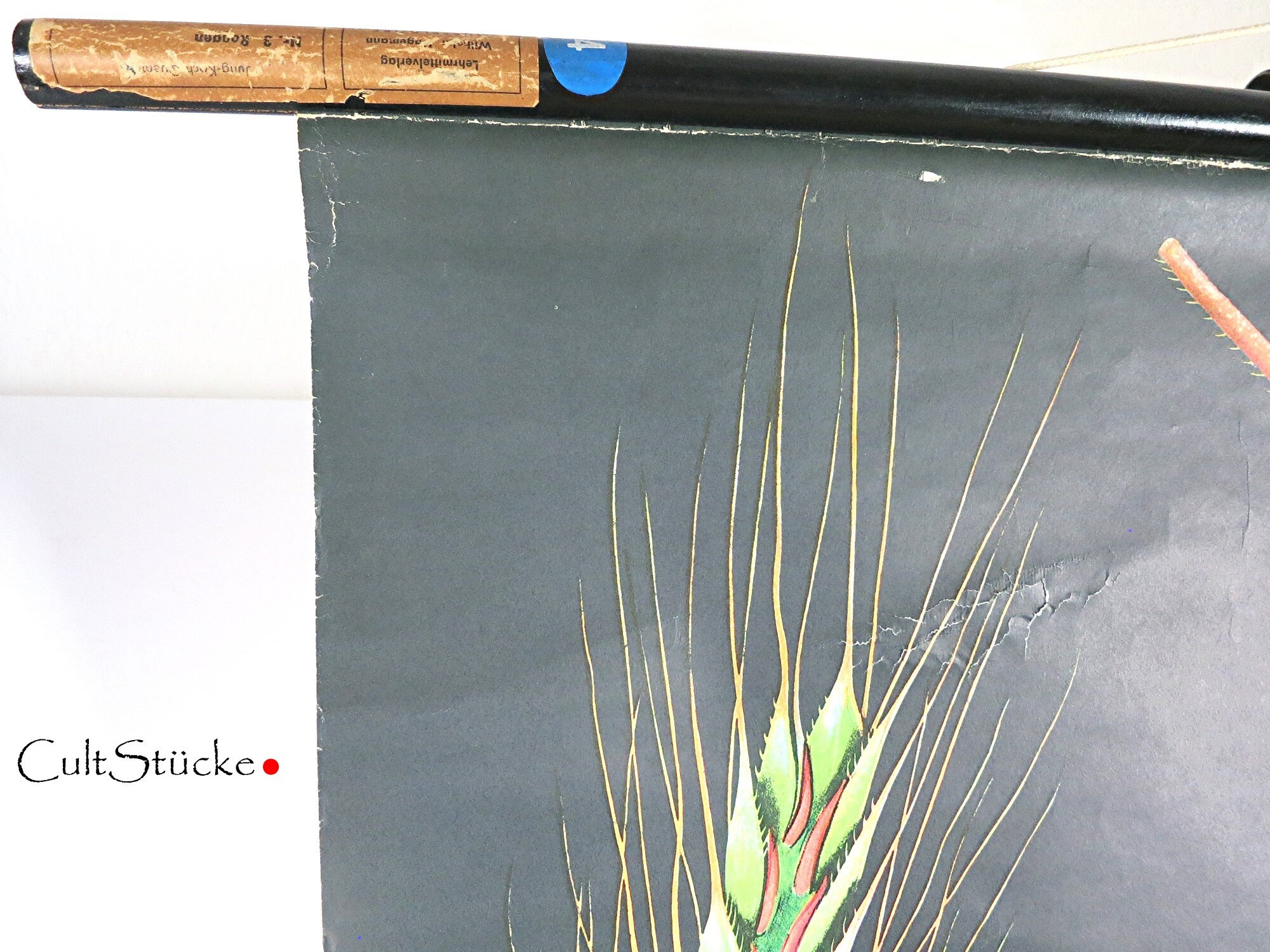 Vintage 60s School Wall Chart Illustration roggen Teaching Chart Wall ...