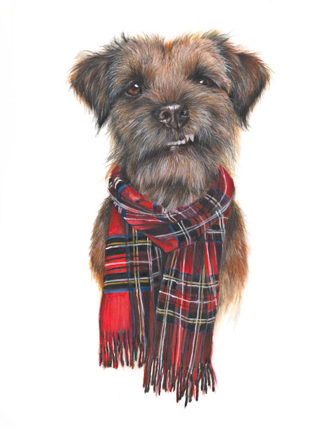 Murray art Print Border Terrier | Etsy