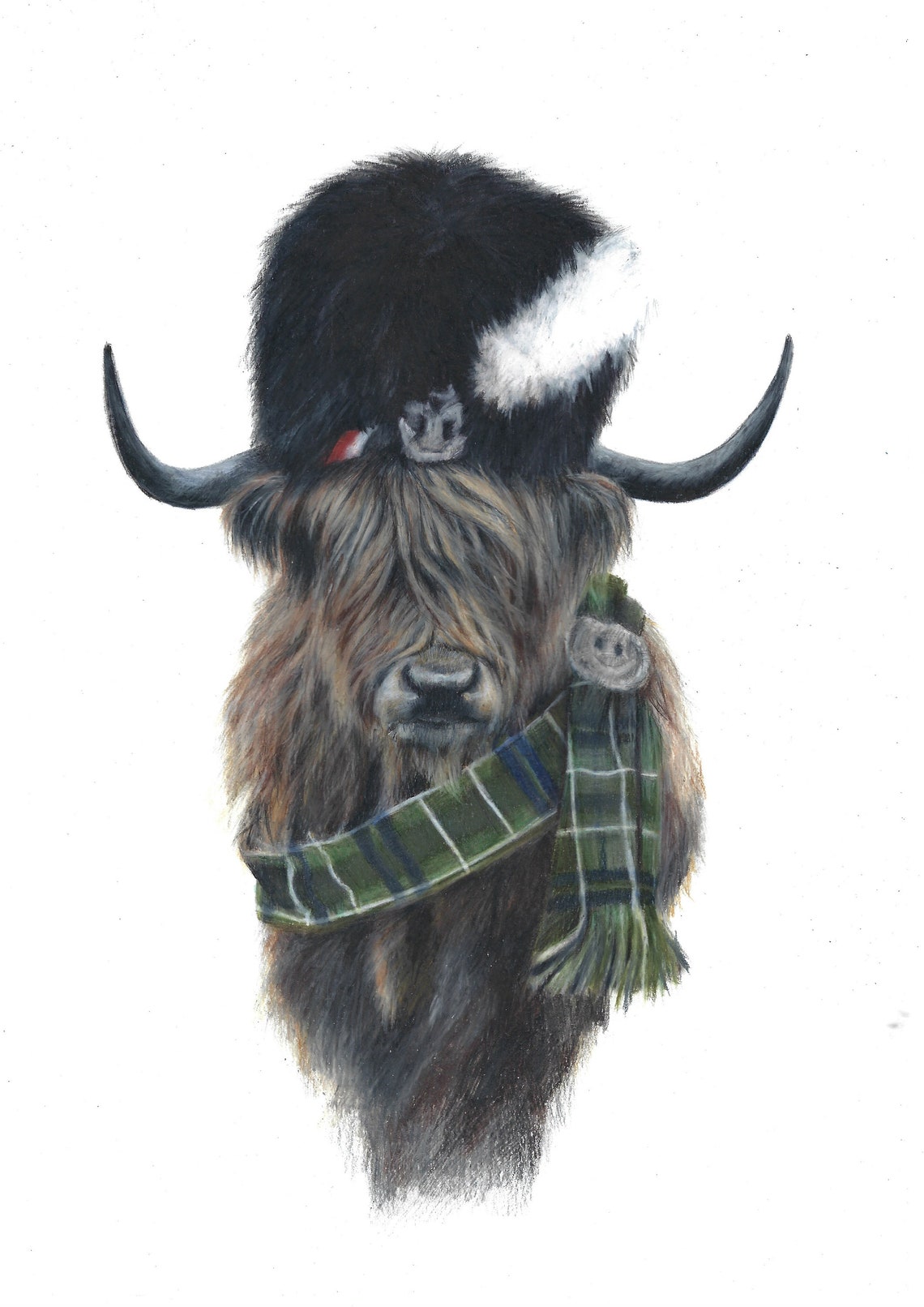 Gordon the Highland Coo art Print | Etsy
