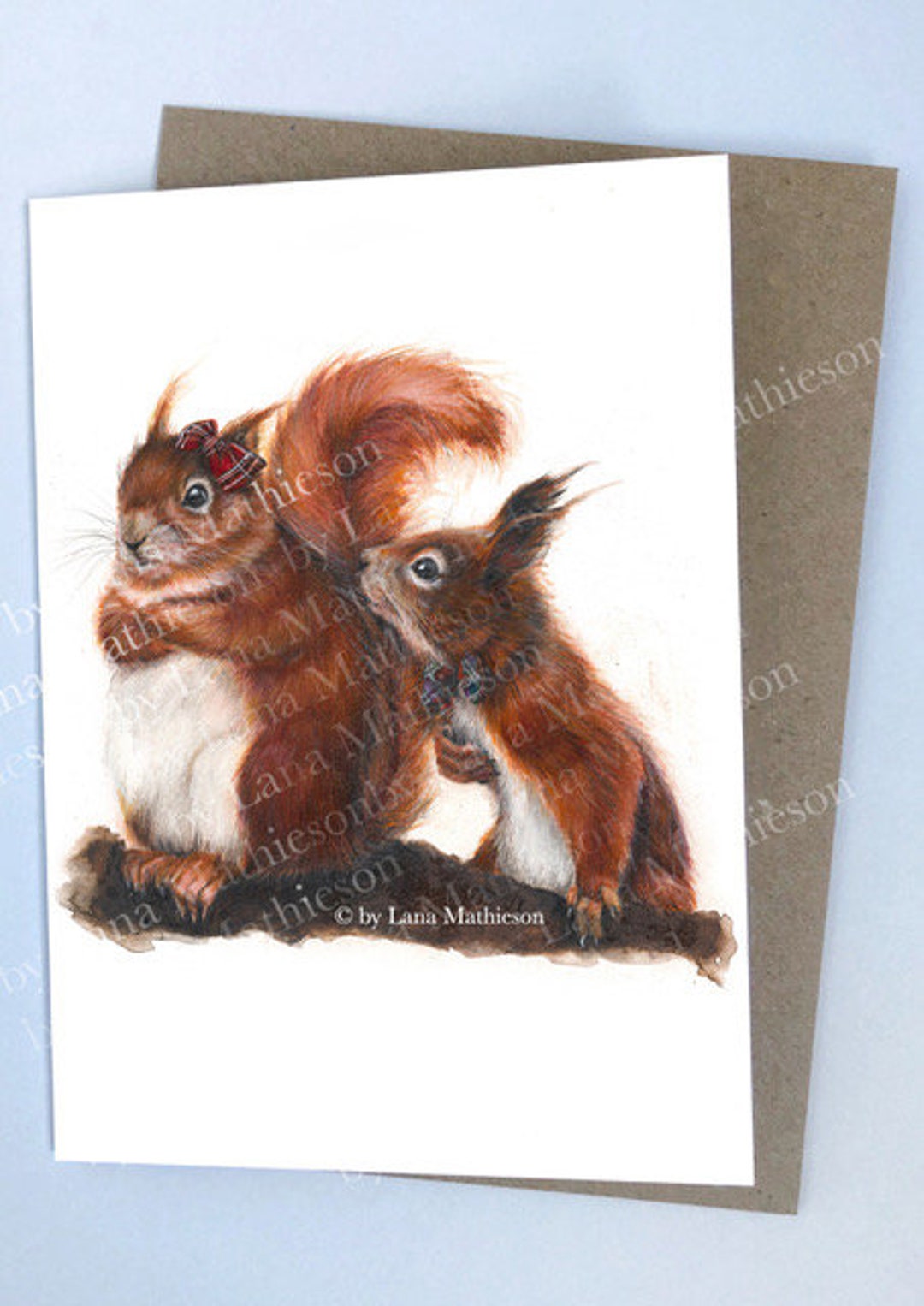Sorry... greeting Card Scottish Squirrel Card Red Squirrel Card ...