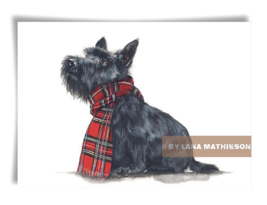 Wee Mac - Scottie Dog Art Print | Scottie Dog Art | Scottish Terriers ...