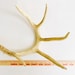 Authentic Deer Antler / 1 Piece Set / Wedding Tabletop Decoration ...