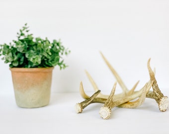 Deer Coffee Table | Etsy