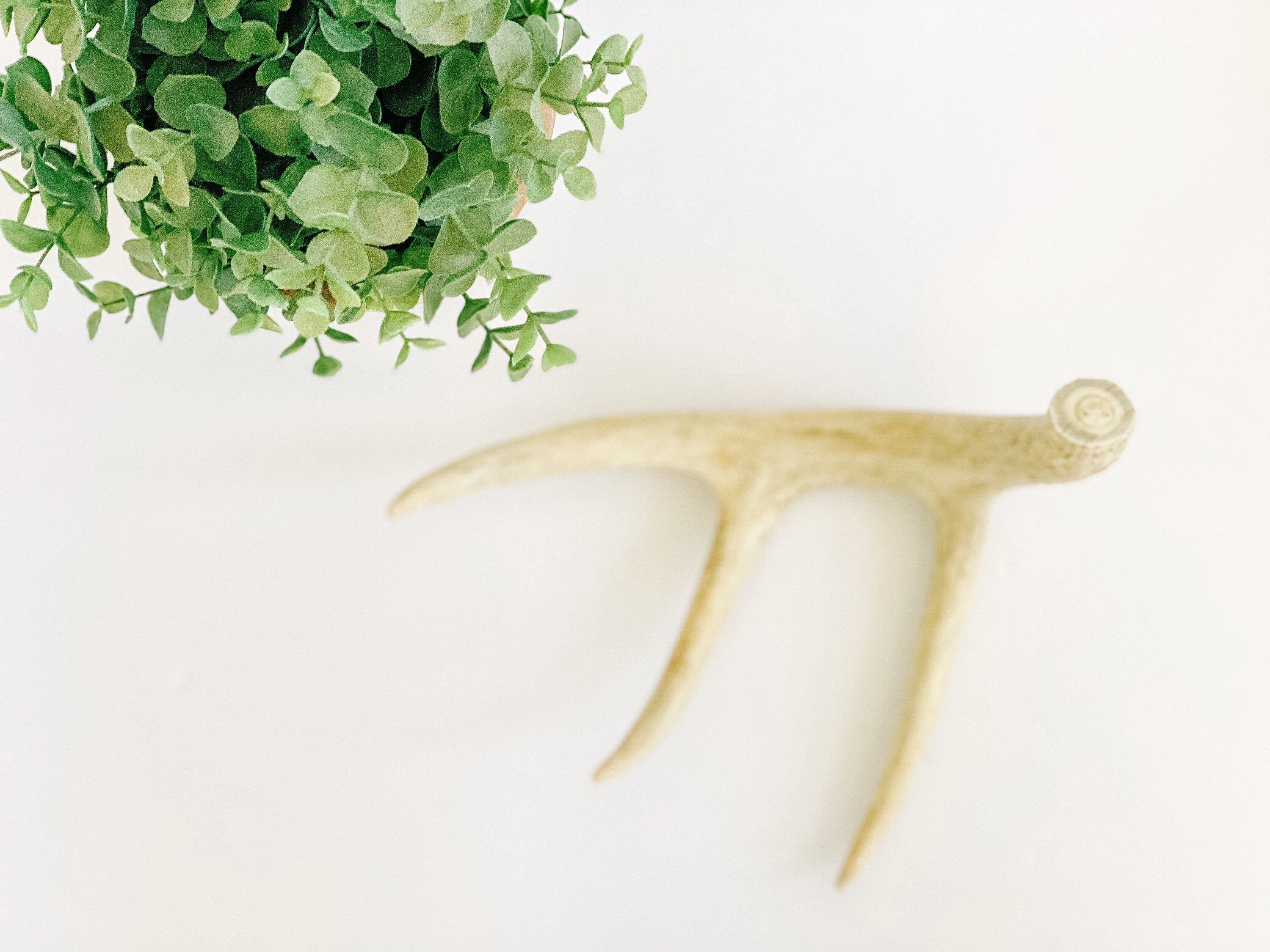 Authentic Deer Antler Piece / 1 Piece Set / Wedding Tabletop Decoration ...
