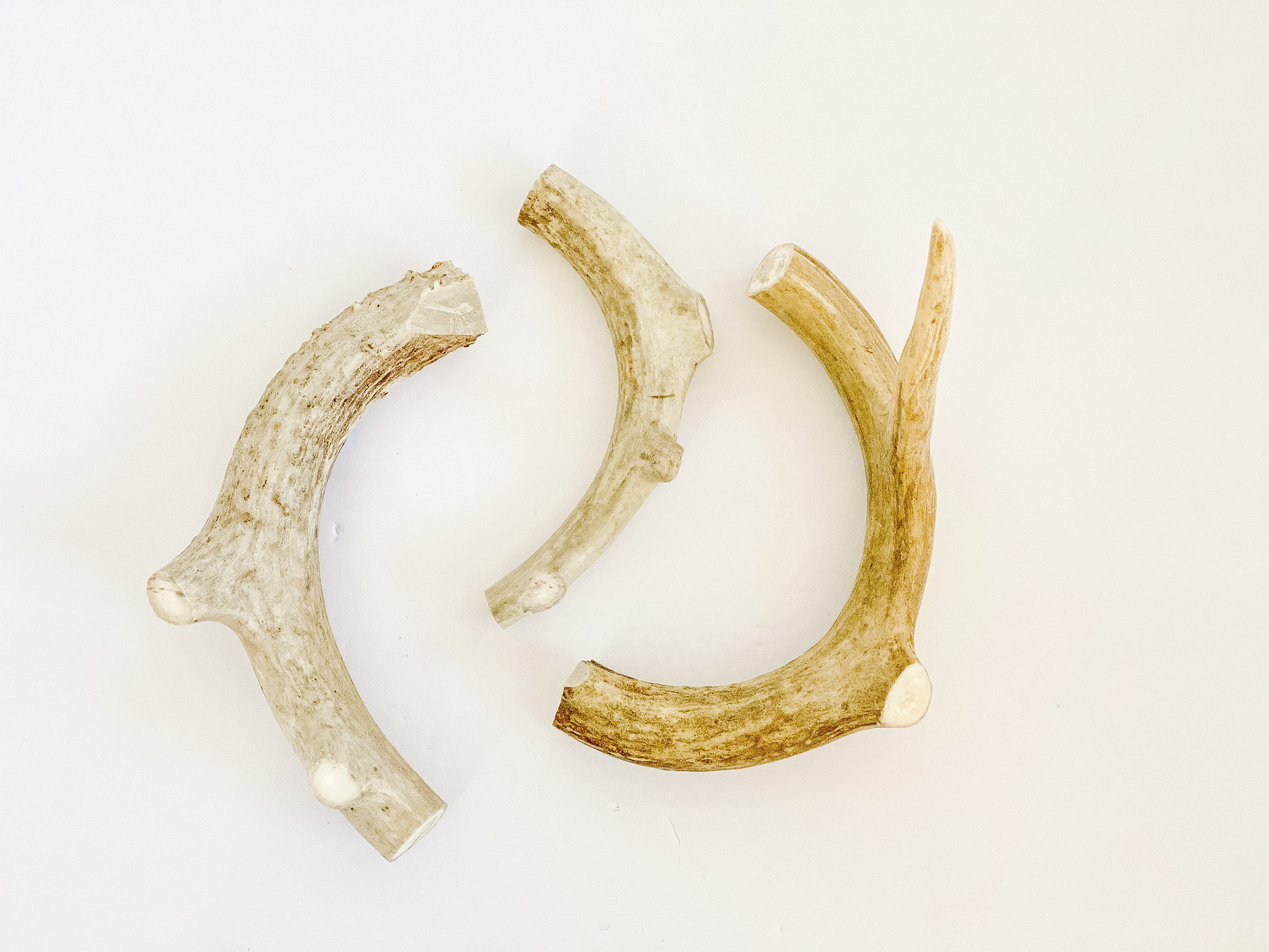 Authentic Deer Antler Pieces / 3 Piece Set / Wedding Tabletop ...