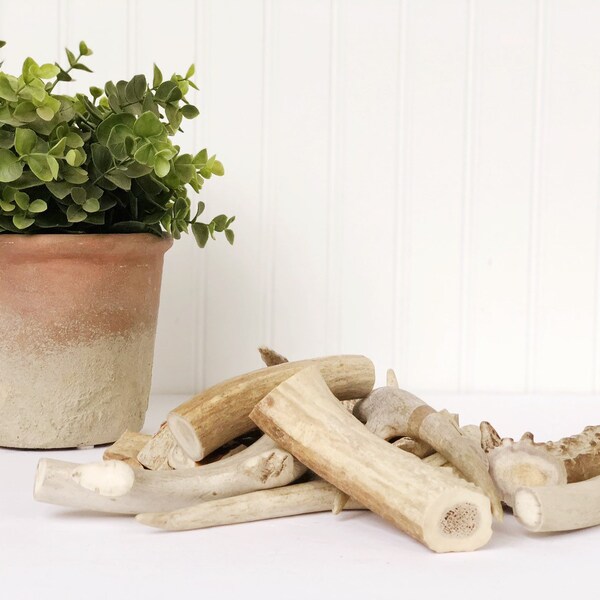 Antler Pieces - Etsy