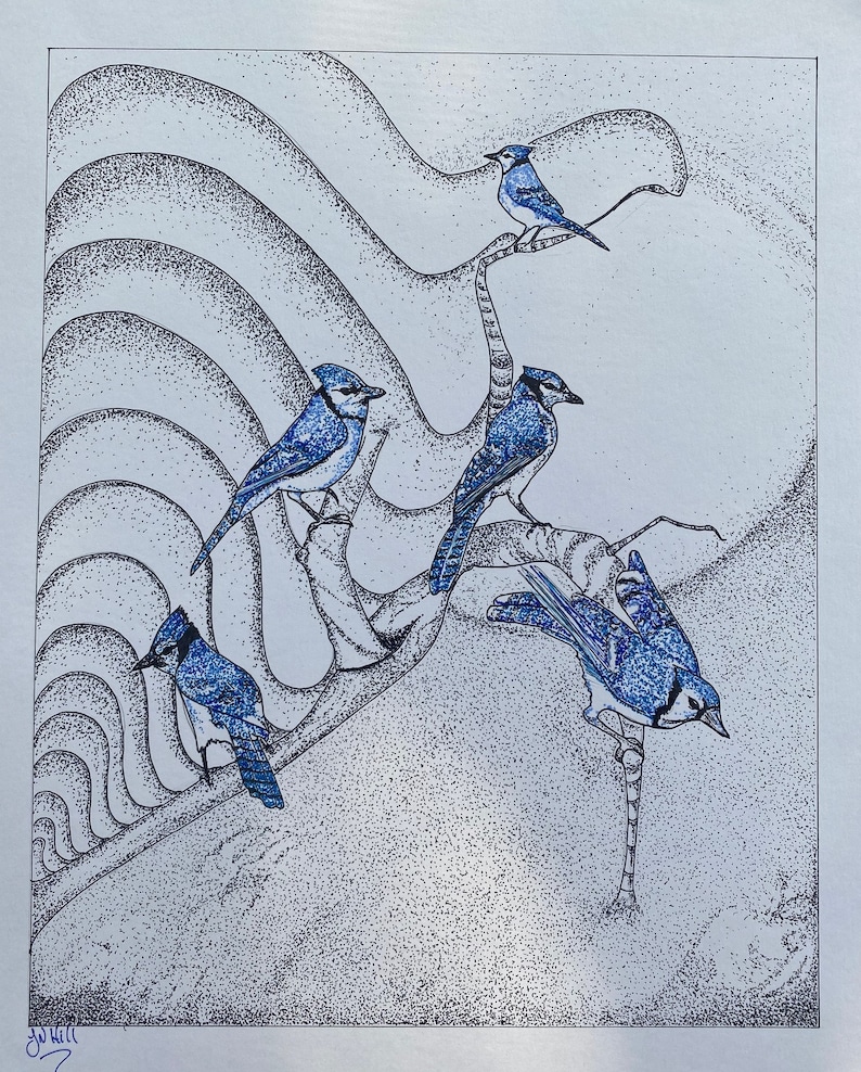 Cardinal Bluejay Original Art Home Decor Bird Set Unframed 14x17 Pen ...
