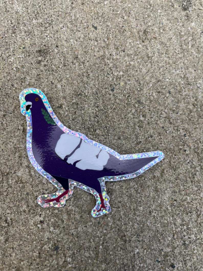 Pigeon Sparle Vinyl Sticker | Fun Laptop Sticker | Fun Waterbottle ...