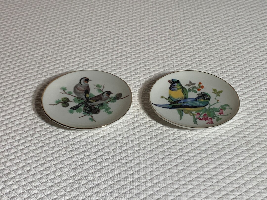 Pair of Decorative Bird Plates. - Etsy