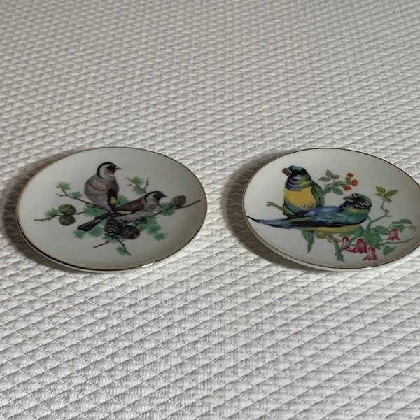 Bird Plates - Etsy