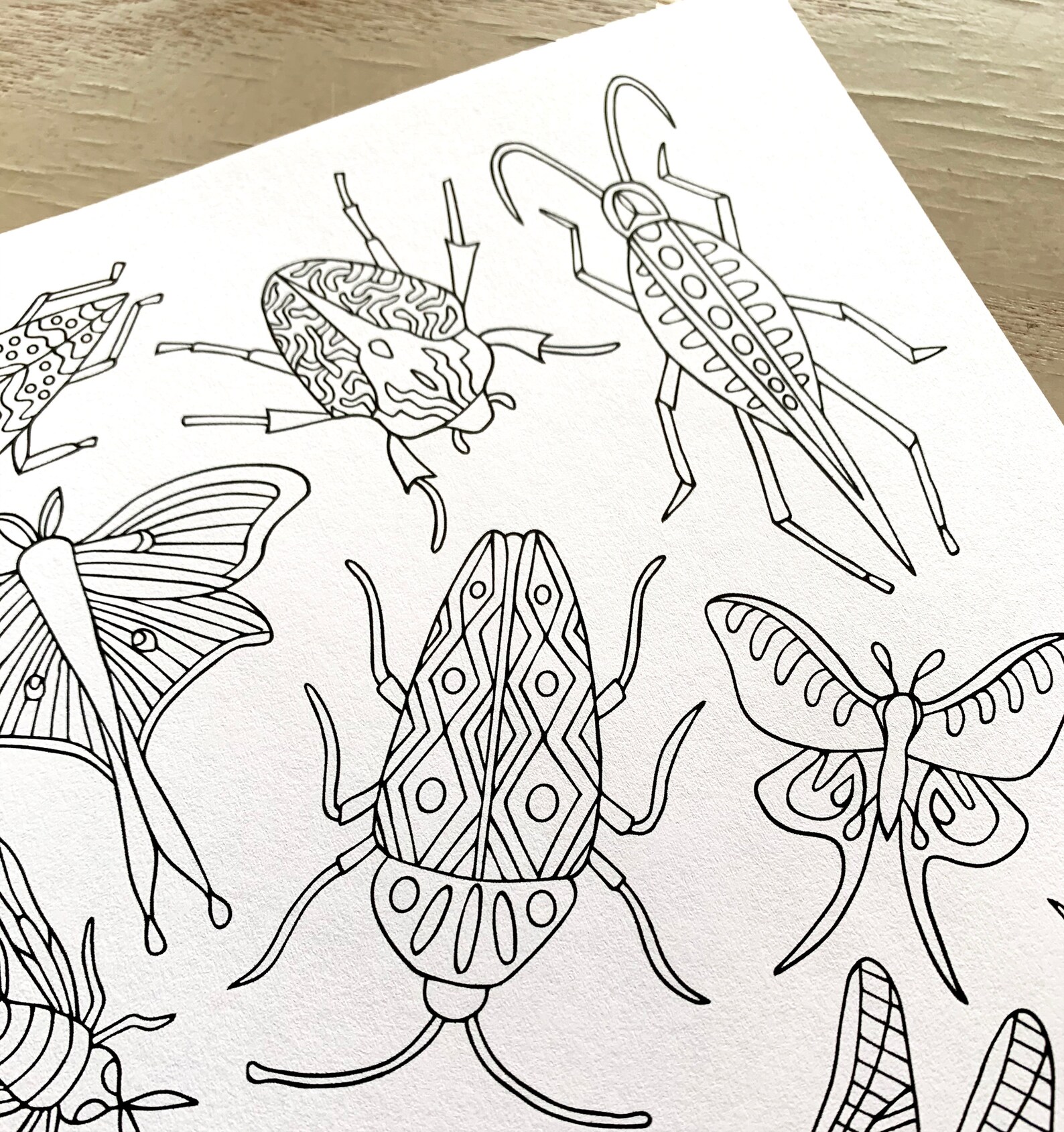 Insect Coloring Page PDF Zentangle Bugs Therapy Coloring | Etsy