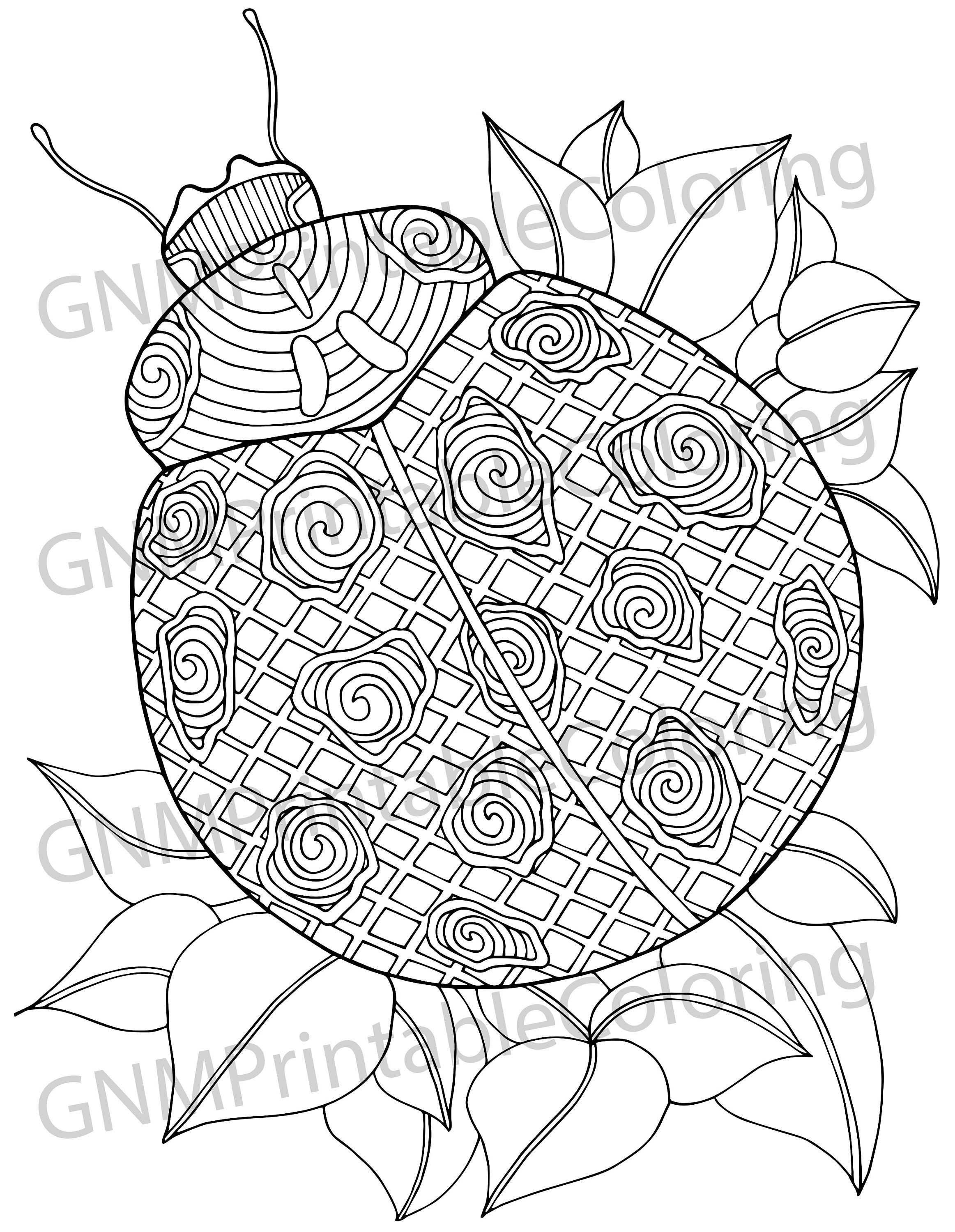 Ladybug PDF Zentangle Coloring Page Therapy Coloring | Etsy