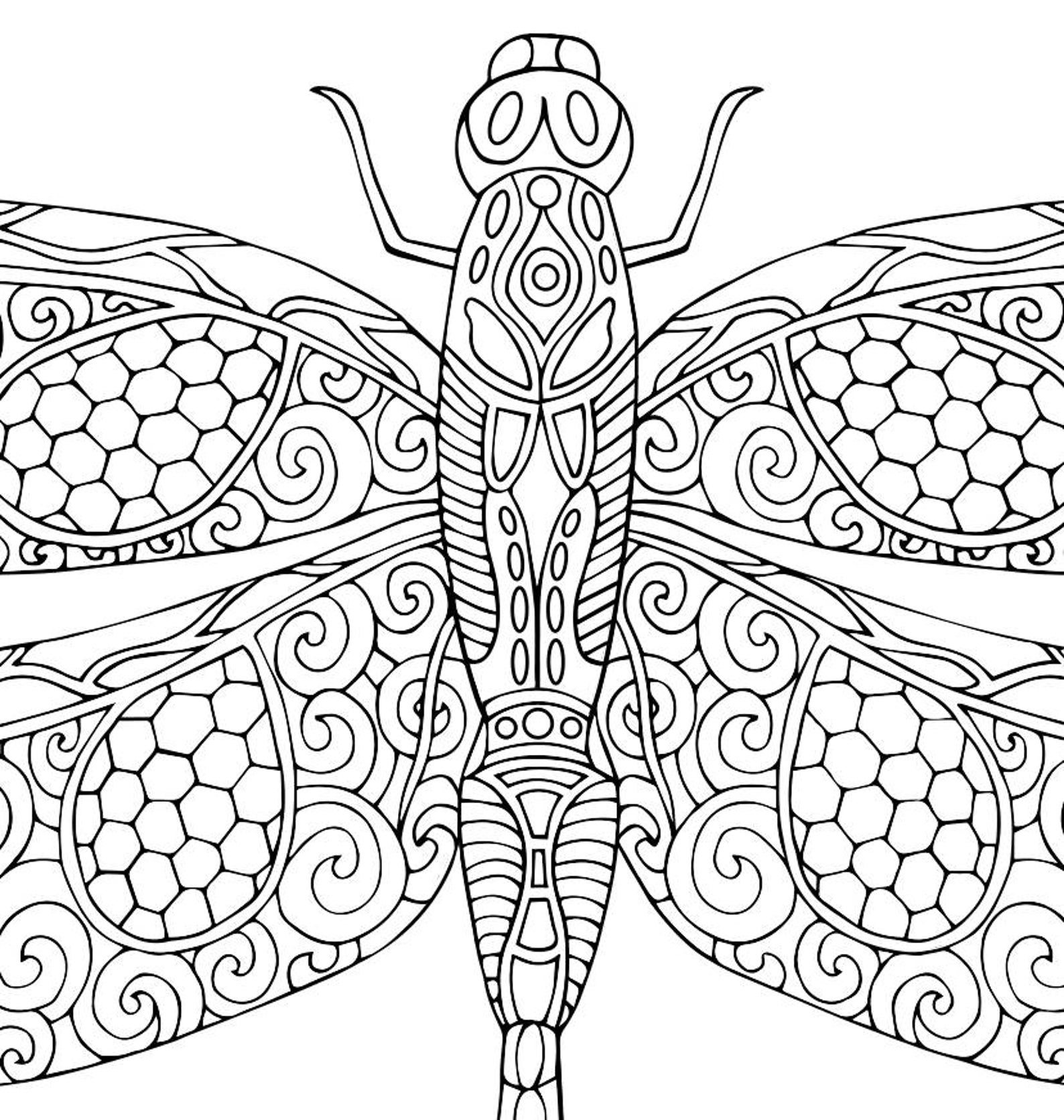 Dragonfly Coloring Page PDF Zentangle Coloring Page Insect Etsy Schweiz dragonfly-coloring-page-pdf-zentangle-coloring-page-insect-etsy-schweiz