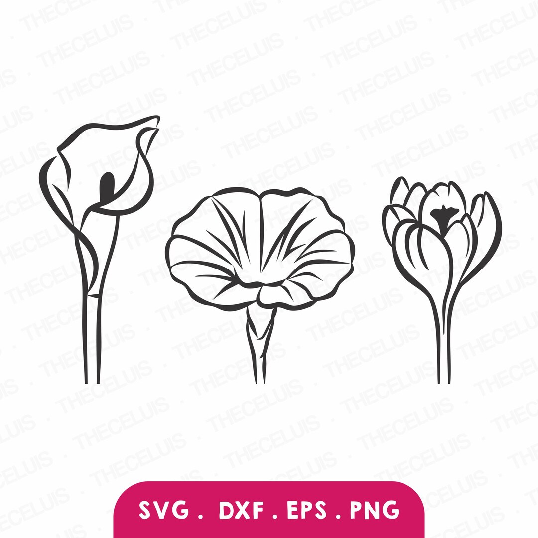 Calla Lily, Morning Glory, Crocus SVG PNG Clipart (digital Download) - Etsy
