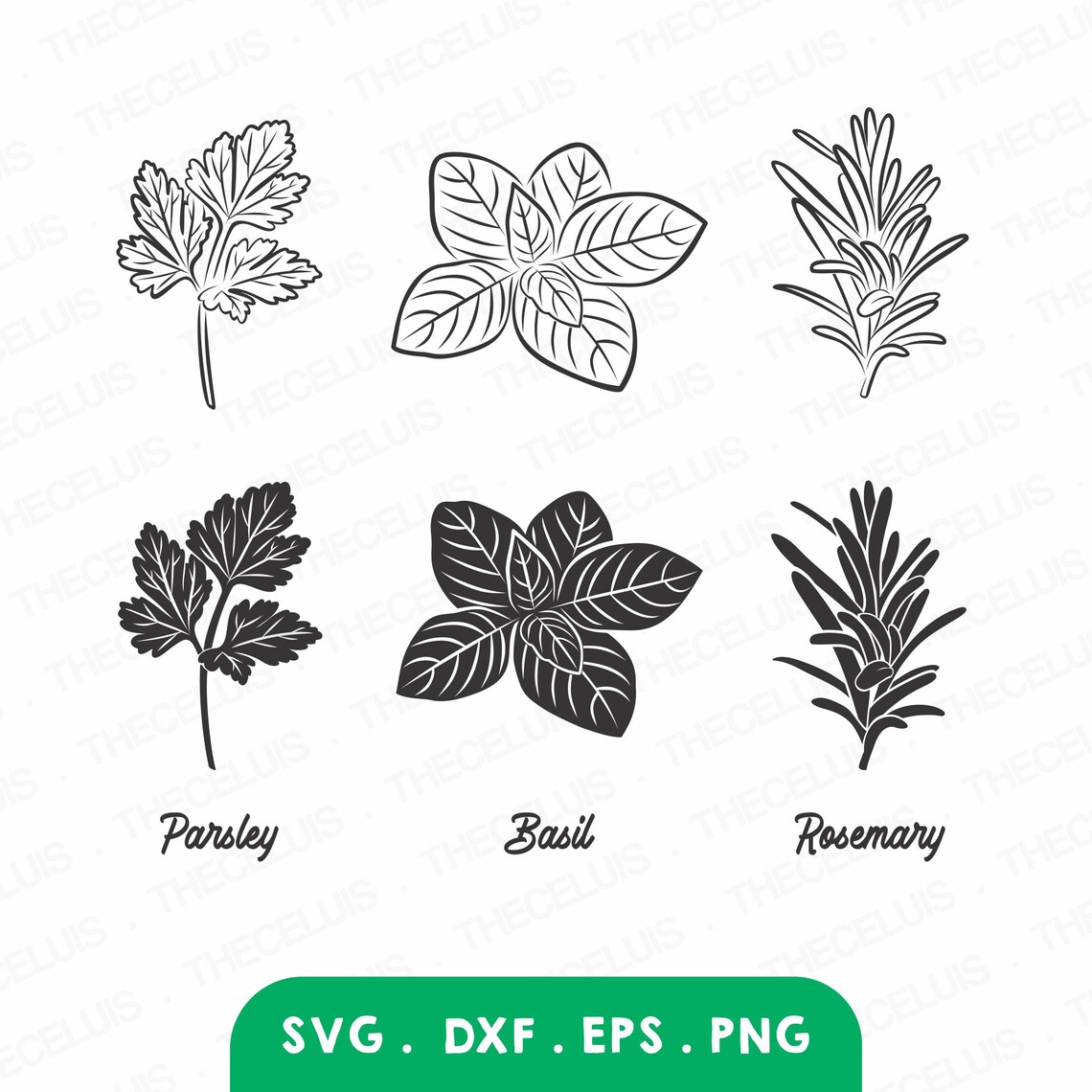 Parsley Basil Rosemary SVG PNG DXF Files : Herb Plant Clipart (instant ...