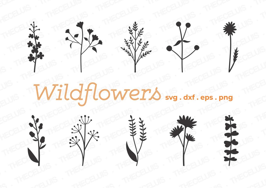 10 Wildflowers Silhouette SVG Files DXF File Eps File PNG - Etsy