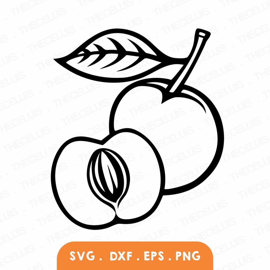 APRICOT Svg, Eps, Dxf, Png Files - Vinyl Cutting File, Digital File ...