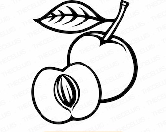 Apricot SVG PNG DXF Files: Fruit Outline Clipart for Cricut, Silhouette ...