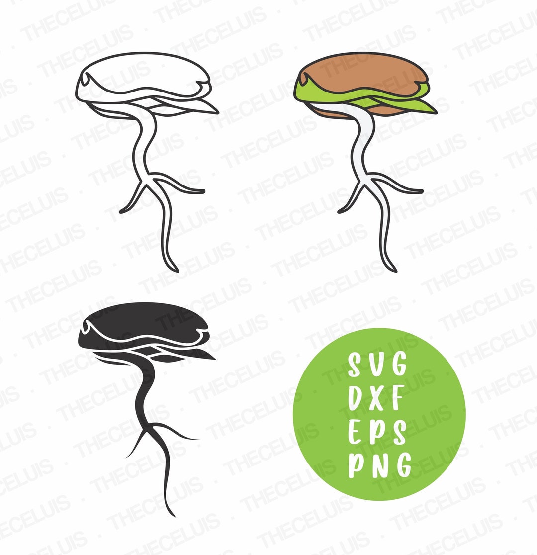 BEAN Sprout SVG PNG Dxf Eps File Mung Bean Clipart Vinyl - Etsy