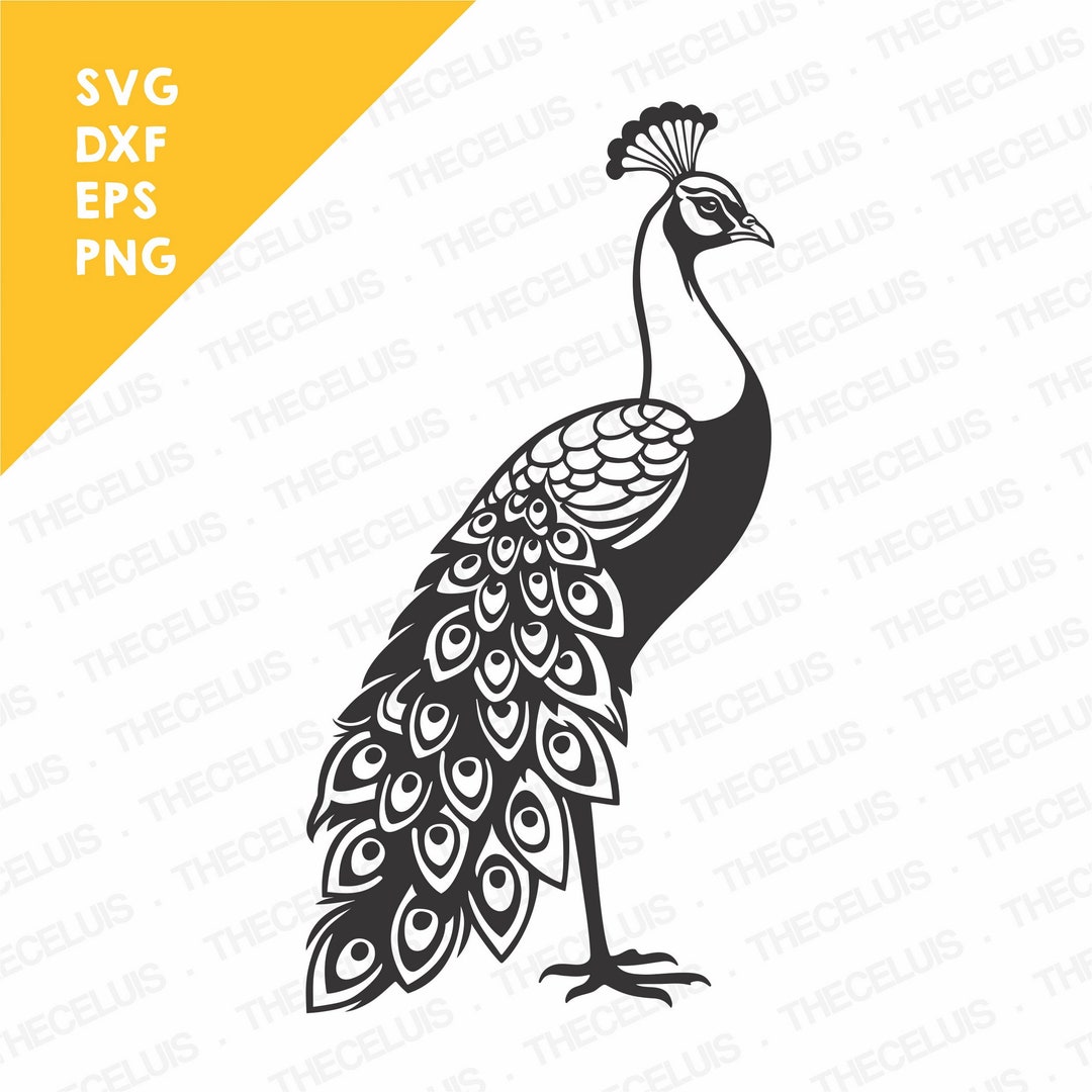 PEACOCK SVG Dxf Eps Png Vinyl Cutting File Peafowl - Etsy