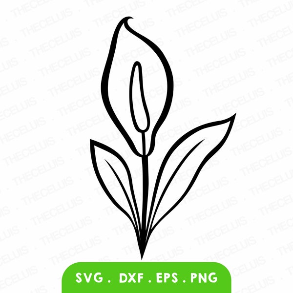 Peace Lily - Etsy