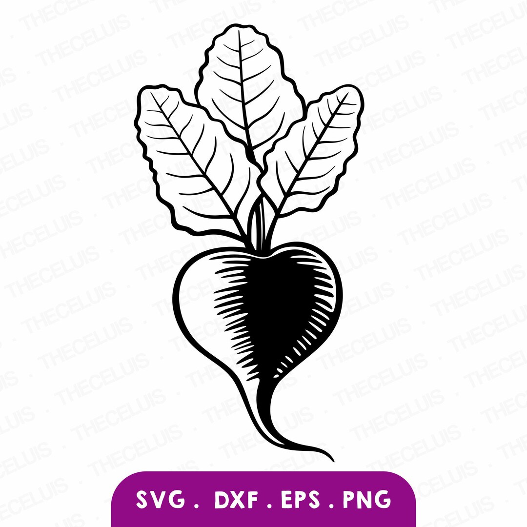 Beetroot SVG Clipart: Vinyl Cutting, Engraving, Printing (digital ...