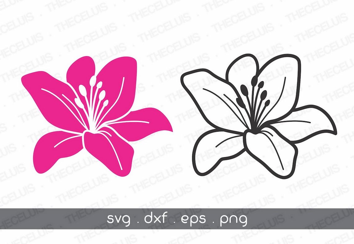 Lily Flowers Outline & Silhouette Vinyl Cutting File SVG - Etsy